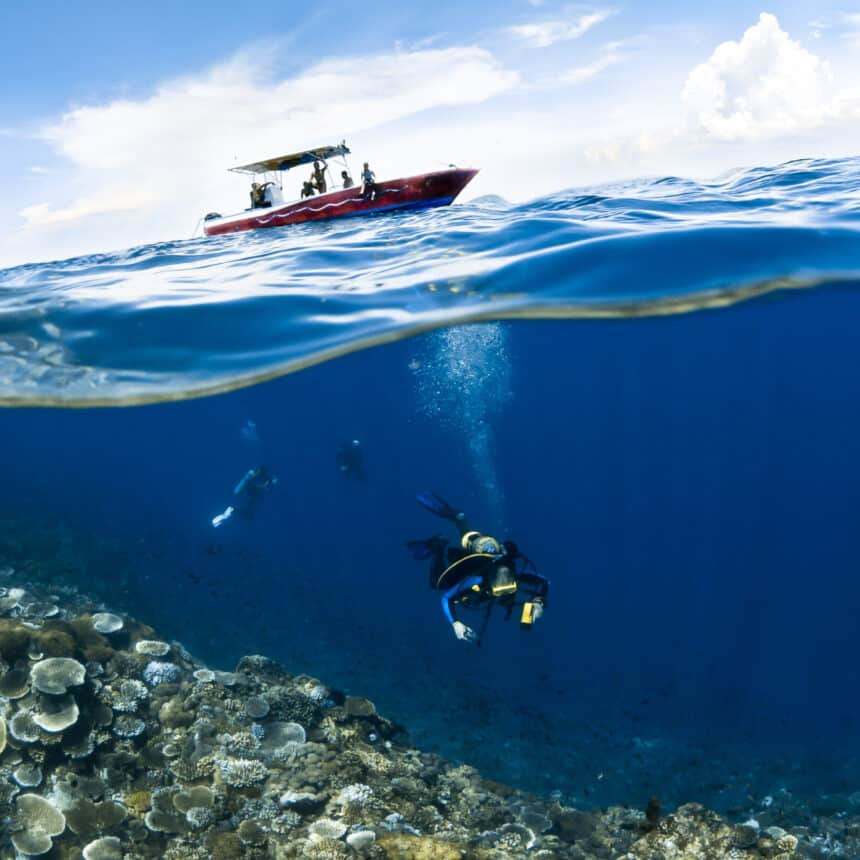 Blue Education | Blue Marine Foundation