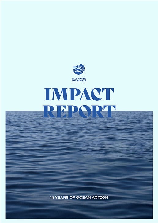 Our Marine Conservation Efforts and Impact
