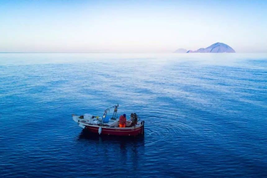 Our Marine Conservation Efforts and Impact