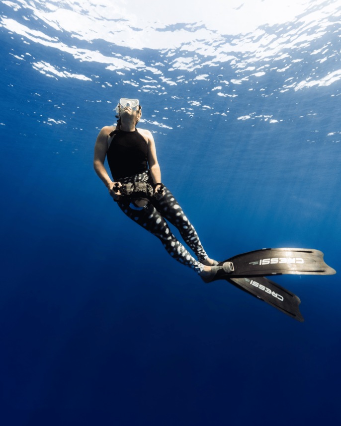 The Ocean Awards | Blue Marine Foundation