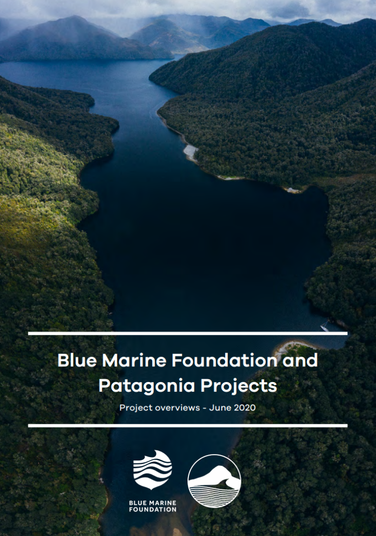 Pacific Ocean | Blue Marine Foundation