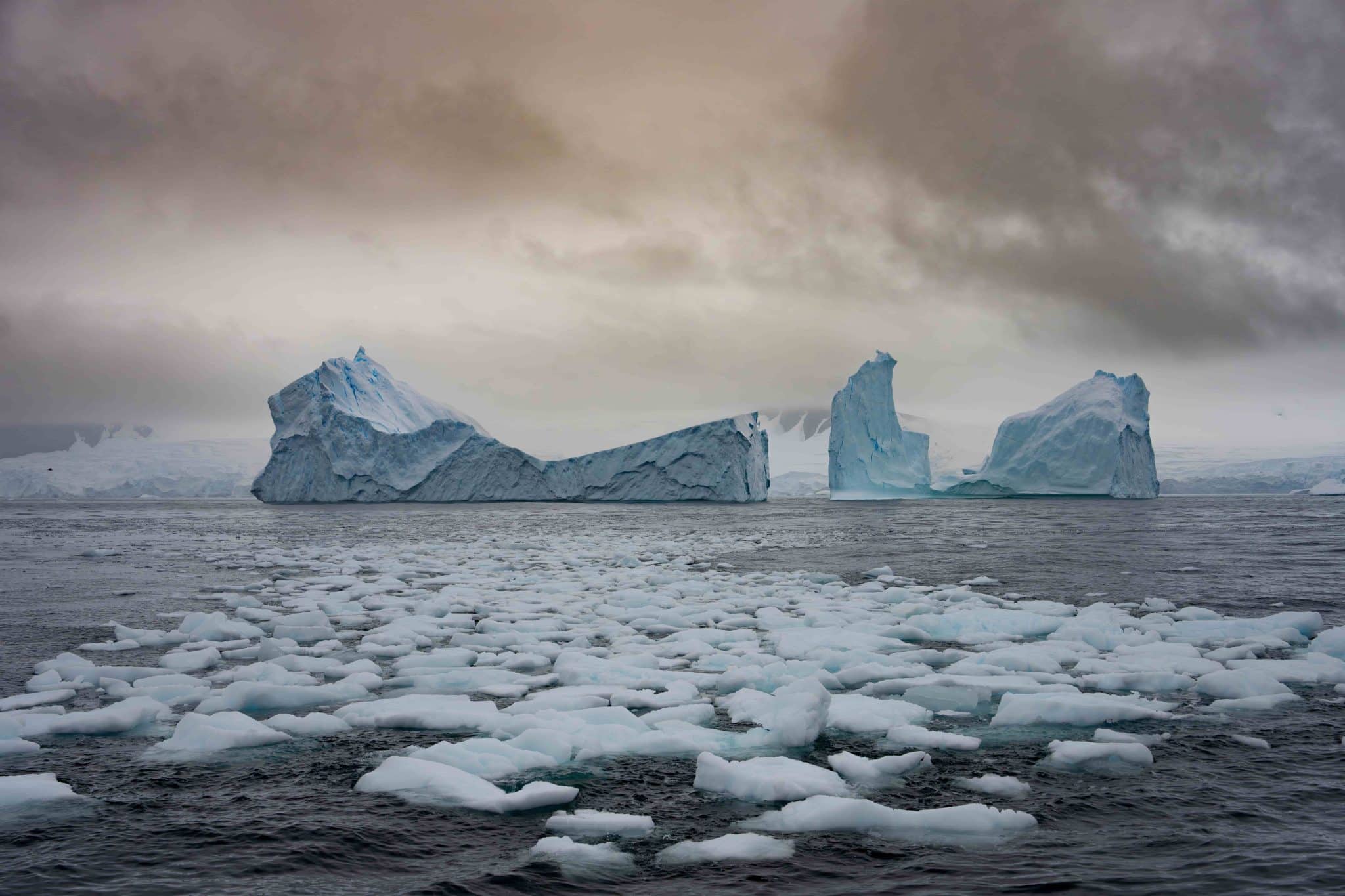Pacific Ocean | Blue Marine Foundation