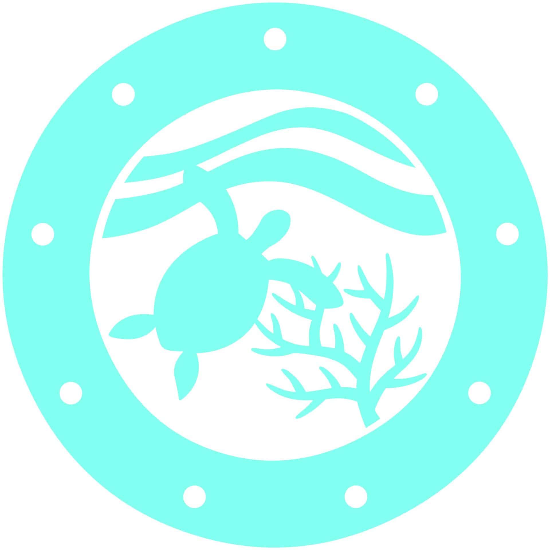 Dutch Caribbean Ocean Observatory