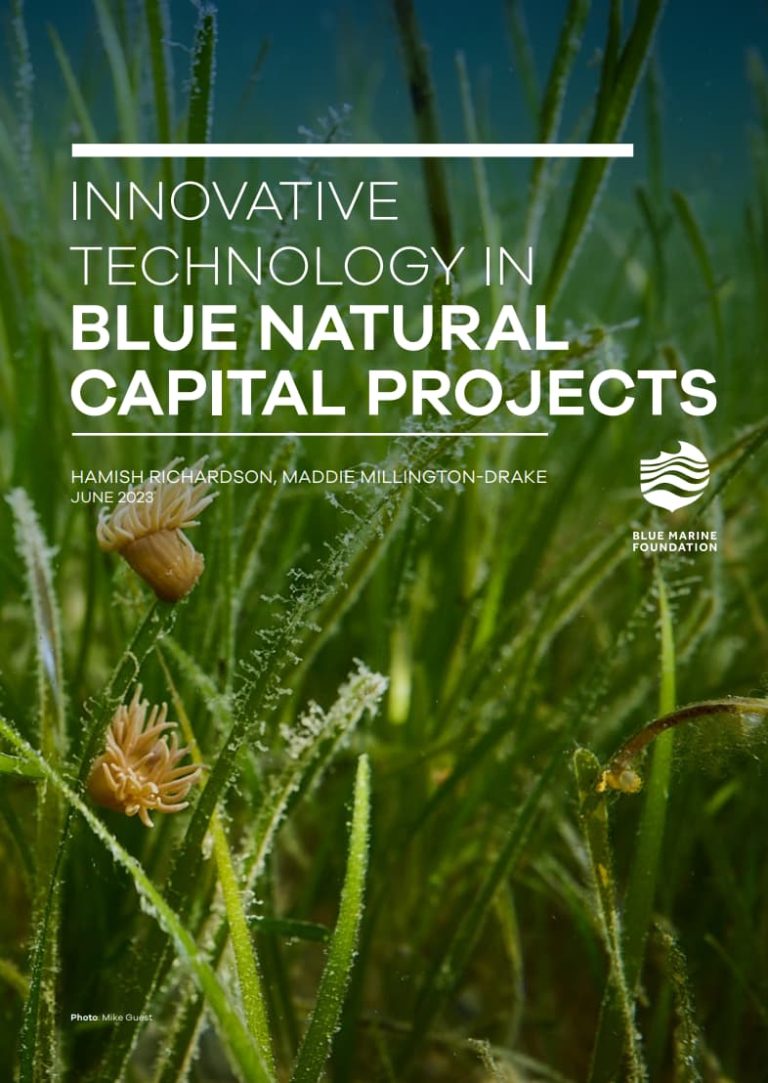 Blue Science | Blue Marine Foundation