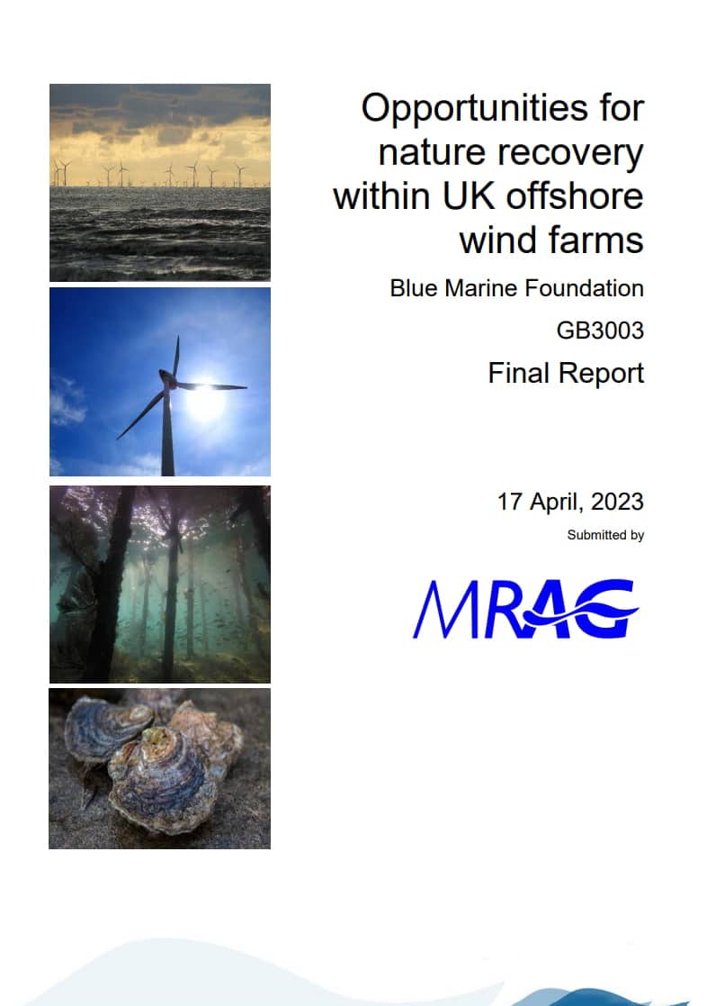 Blue Science | Blue Marine Foundation