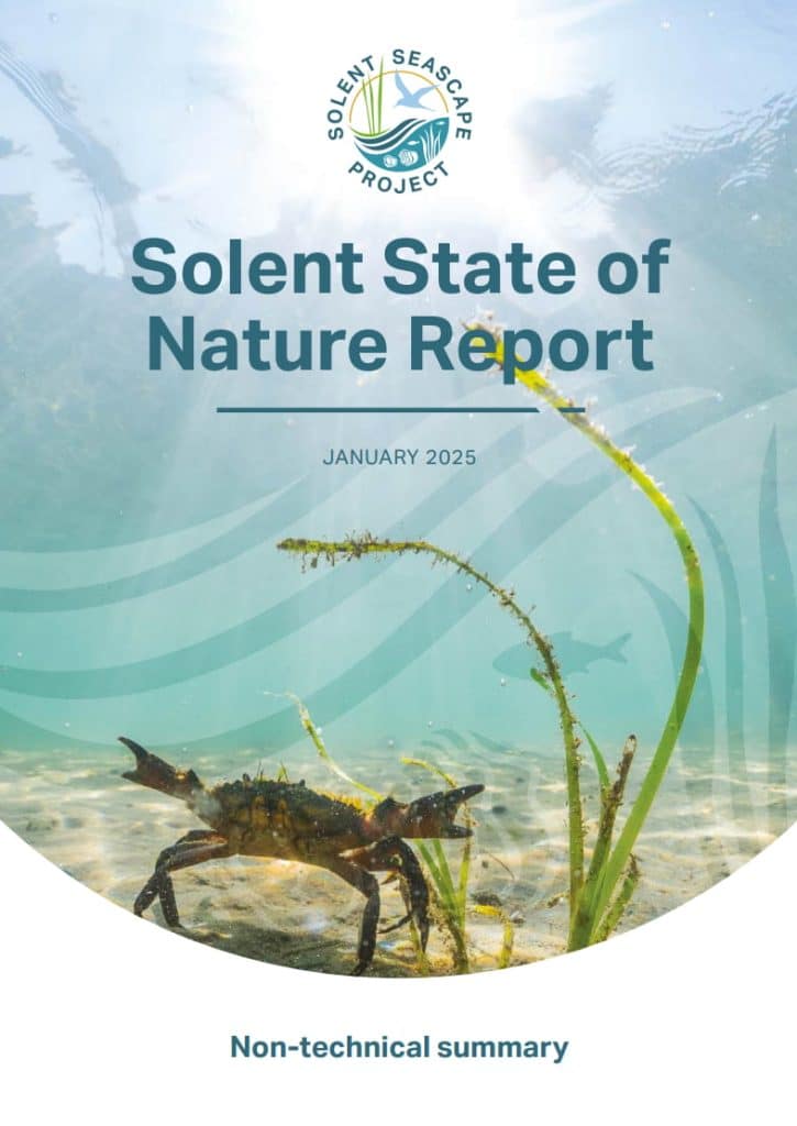 Solent Seascape Project: Sea, coast & land restoration