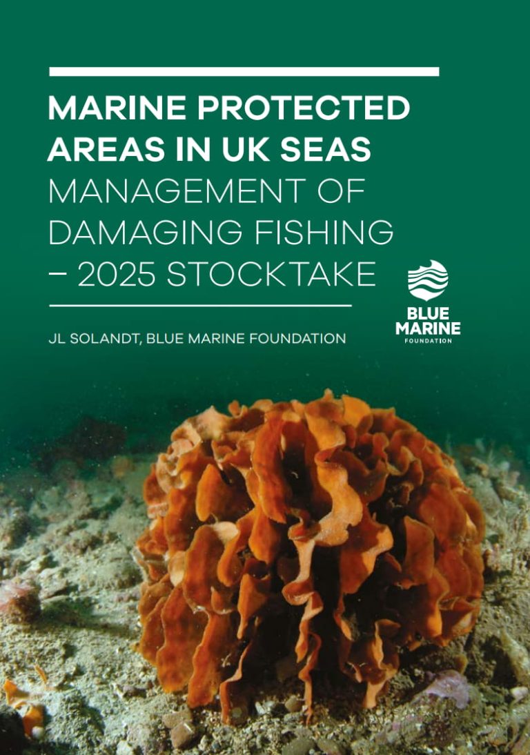 Resources Archive | Blue Marine Foundation