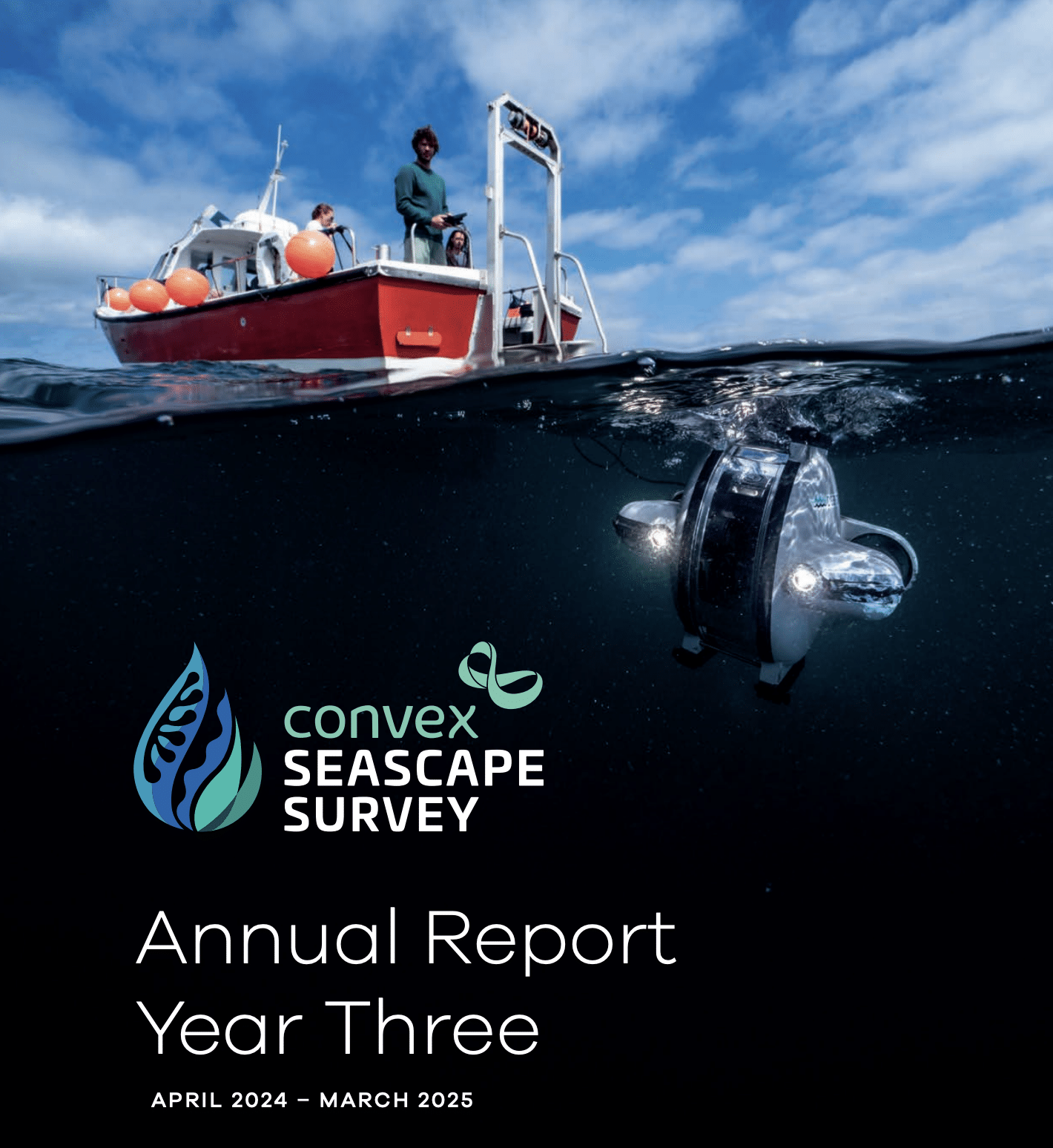 State of the World's Saltmarshes | Blue Marine Foundation