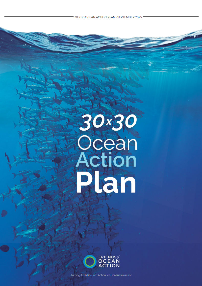 Marine Life | Blue Marine Foundation