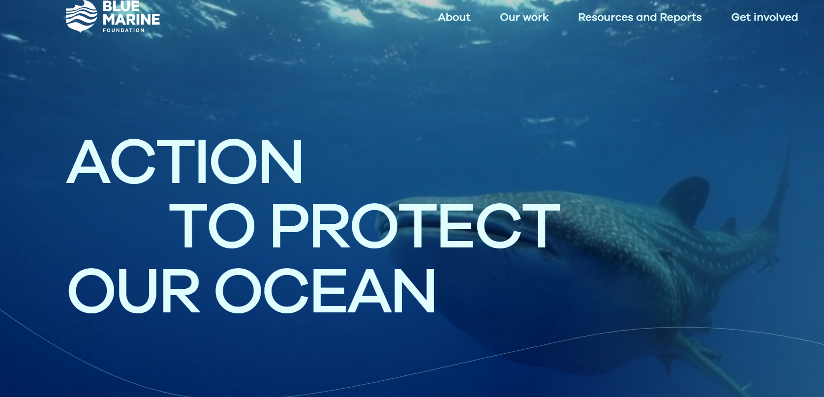 Contact Us | Blue Marine Foundation