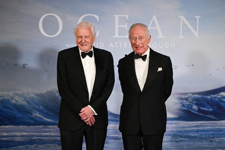 OCEAN WITH DAVID ATTENBOROUGH World Premiere | Blue Marine Foundation