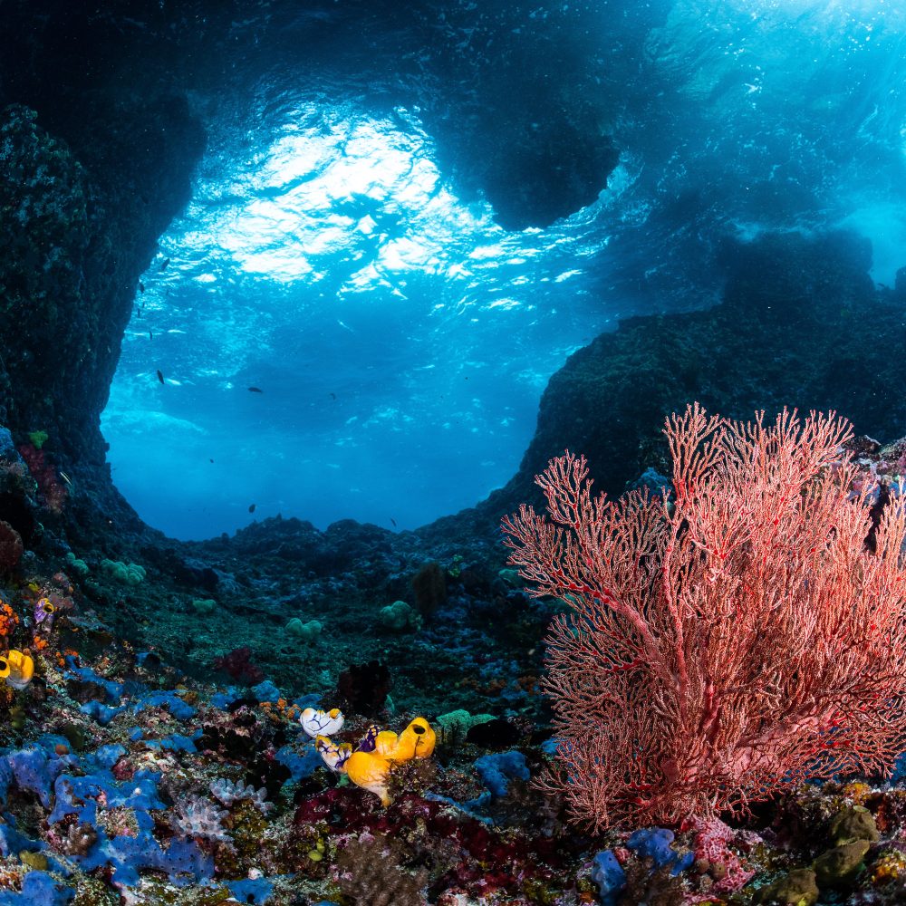Ocean Resources